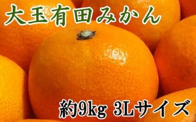 【食べごたえ十分】有田みかん大玉9kg（3Lサイズ・秀品） ※2025年11月中旬～2026年1月中旬頃より順次配送予定 / 和歌山県美浜町 | セゾンのふるさと納税