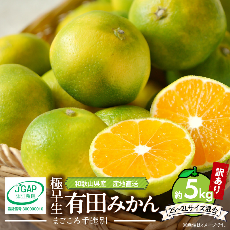 ZE6171n_【先行予約】和歌山県産 有田みかん (極早生) 【訳あり 家庭用】 5kg (2S～2Lサイズ混合)【まごころ手選別】 | 和歌山県湯浅町ふるさと納税特設サイト「ゆあさんぽ」