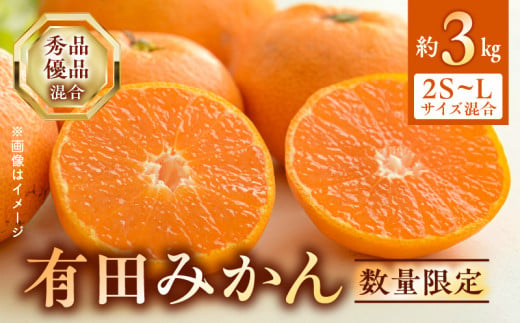 BF6031n_【2025年先行予約】 数量限定 期間限定 有田みかん 約 3kg 2S～Lサイズ サイズ混合 30個 前後 秀品 優品 紀州 有田 みかん 温州みかん フルーツ 果実 甘み ...