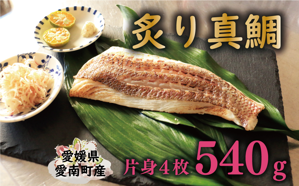 炙り 真鯛 切り身 4柵 合計 540g （ 270g ×2 パック ） 朝〆 まだい 鯛 愛南町 新鮮 冷凍 愛媛県 神経締め 皮引き 三枚おろし 国産 魚介 特産品 魚介類 海産物 鮮魚 ...