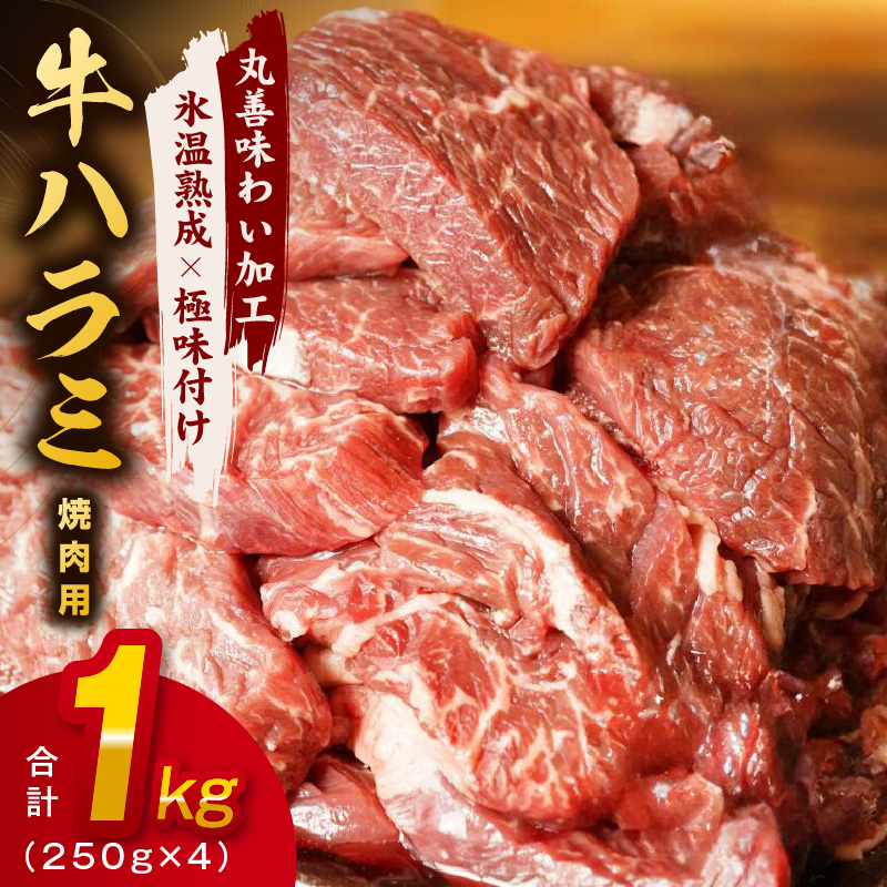 牛肉 ハラミ 1kg 小分け 250g×4P【氷温熟成×極味付け 味付き 牛肉 訳あり 不揃い 焼肉 BBQ 野菜炒め】 mrz0021 / 大阪府泉佐野市 | セゾンのふるさと納税