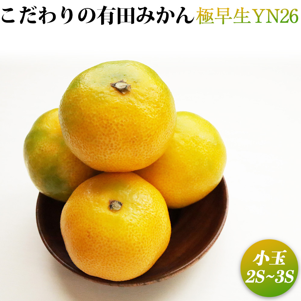 ZT6225n_【2025年先行予約】こだわりの有田みかん 極早生 YN26 2kg 小玉2S～3S 【訳あり 家庭用】（和歌山県有田郡湯浅町） | ふるさと納税サイト「ふるさとプレミアム」