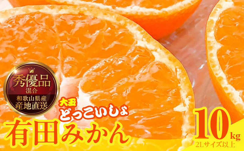 MK1034_みかん 大玉 どっこいしょ 箱込 10kg ( 内容量 9.2kg ) 2Lサイズ以上 秀品 優品 混合 有田みかん 和歌山県産 産地直送 【みかんの会】 / 和歌山県湯浅町 ...